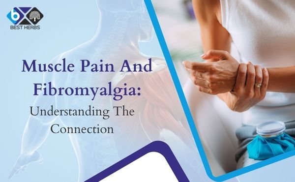 Muscle Pain And Fibromyalgia: Understanding The Connection